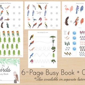 Birds Activity Bundle - Worksheets Busy Book Bag - Spring Nature Study ...