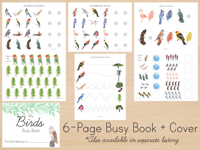 Birds Activity Bundle - Worksheets Busy Book Bag - Spring Nature Study ...