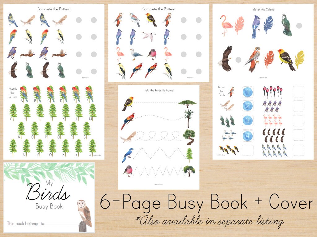 Birds Activity Bundle Worksheets Busy Book Bag Spring - Etsy