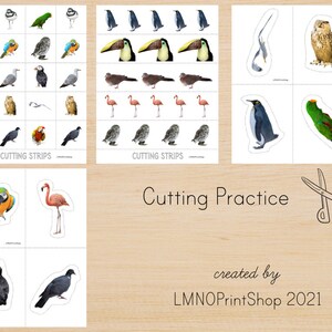 Birds Activity Bundle - Worksheets Busy Book Bag - Spring Nature Study ...