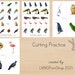 Birds Activity Bundle - Worksheets Busy Book Bag - Spring Nature Study ...