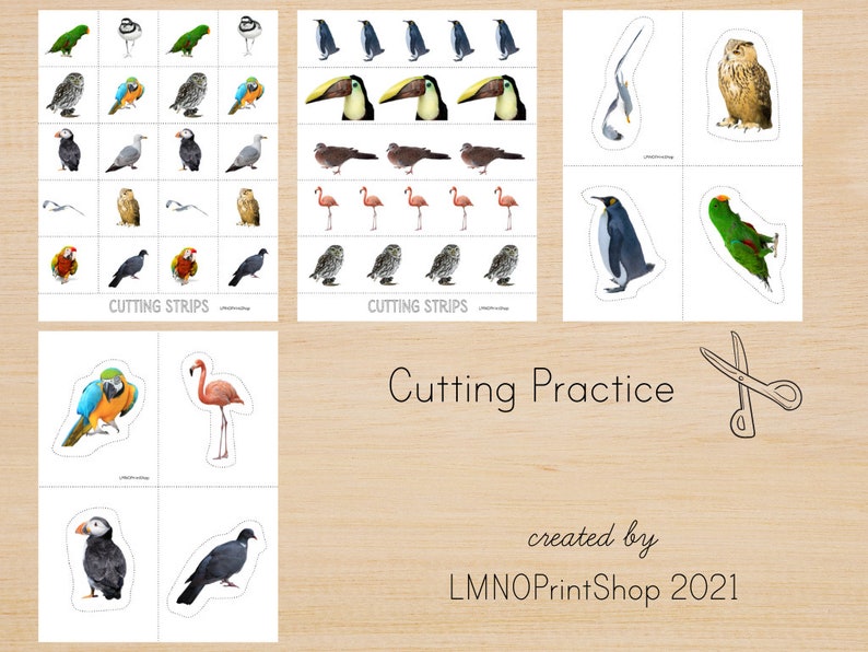 Birds Activity Bundle - Worksheets Busy Book Bag - Spring Nature Study ...