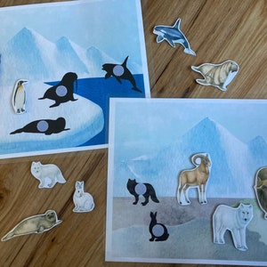 Arctic Animal Shadow Matching - Polar Printable Learning Binder ...