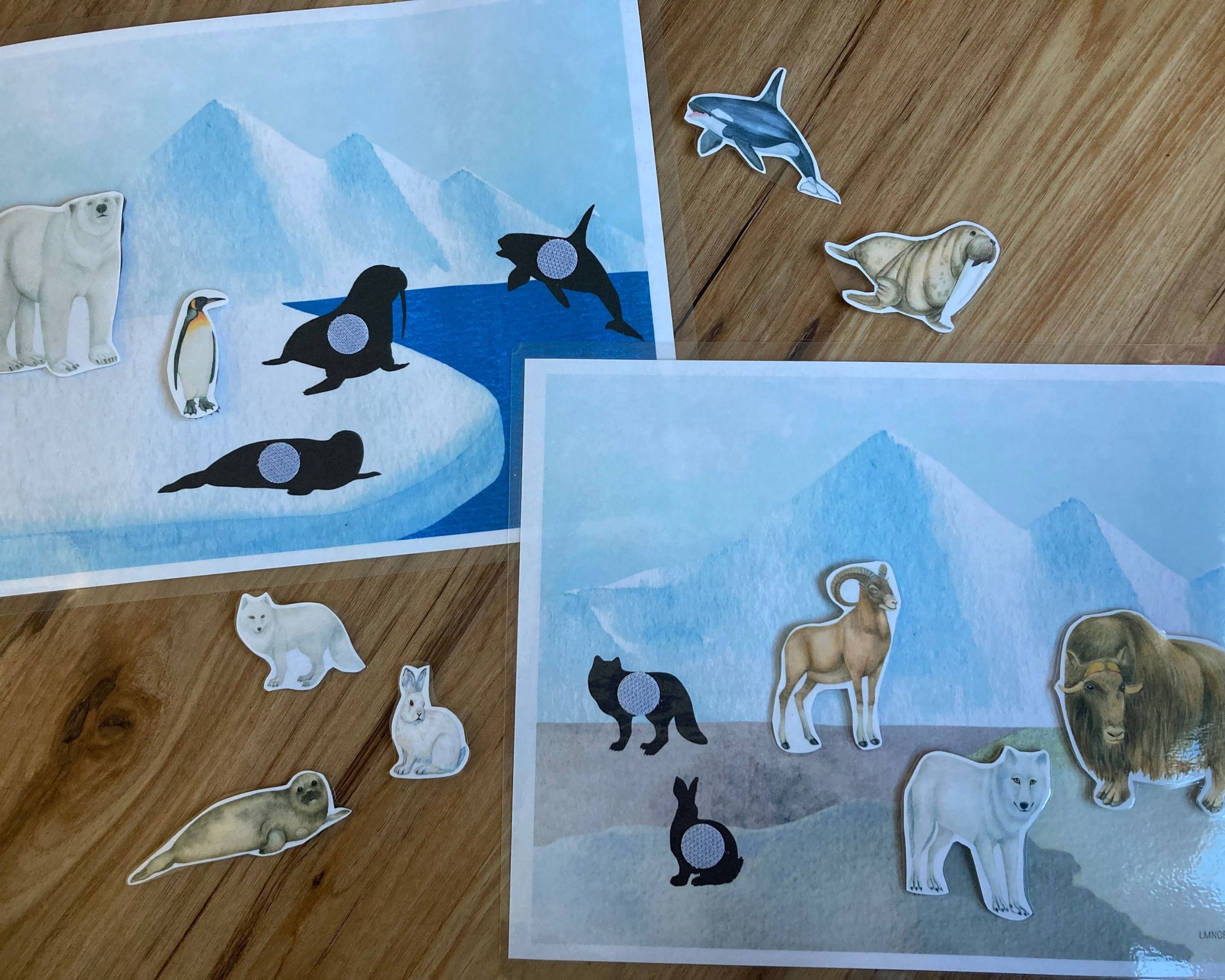 Arctic Animal Shadow Matching - Polar Printable Learning Binder ...