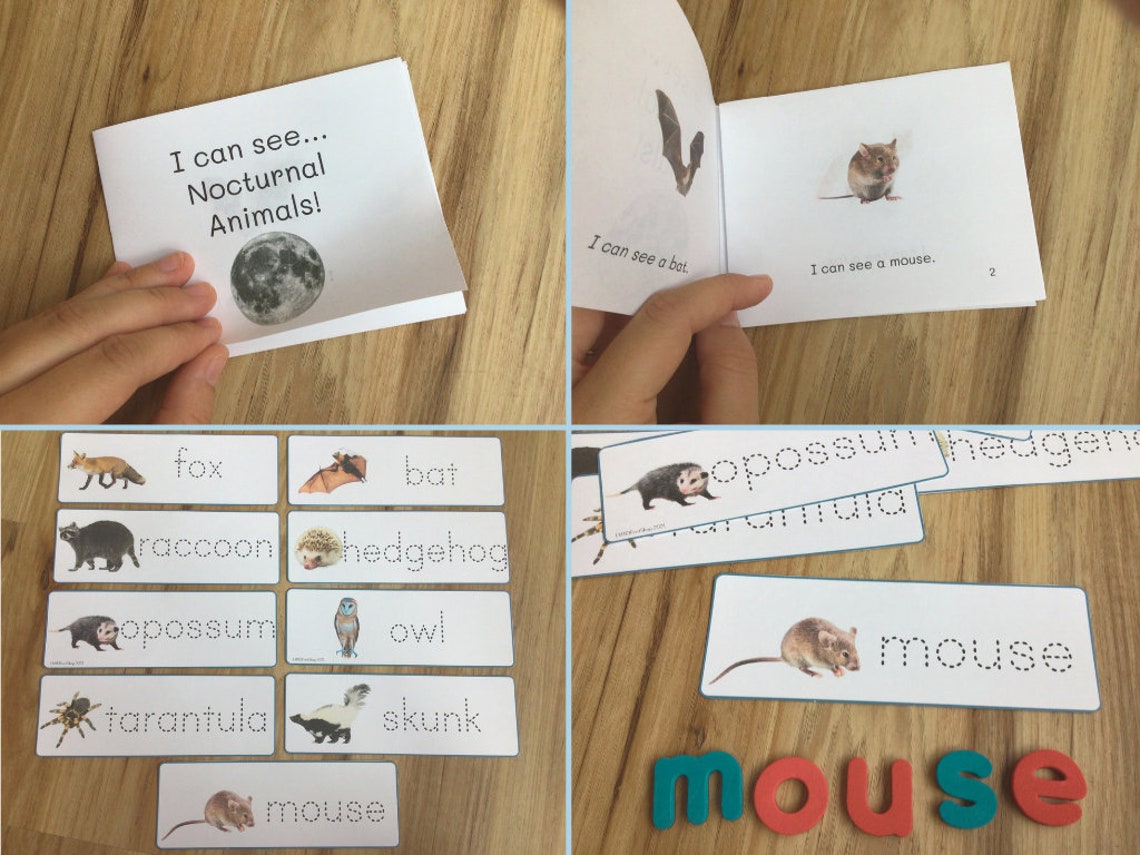Nocturnal Animals Preschool Printable Bundle Early Reader - Etsy