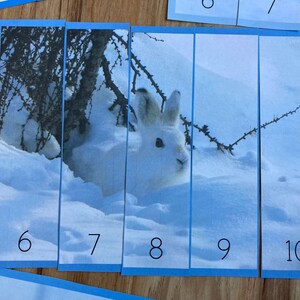 Arctic Animal Counting Puzzles - 1-10 Number Order Printable - Cold ...