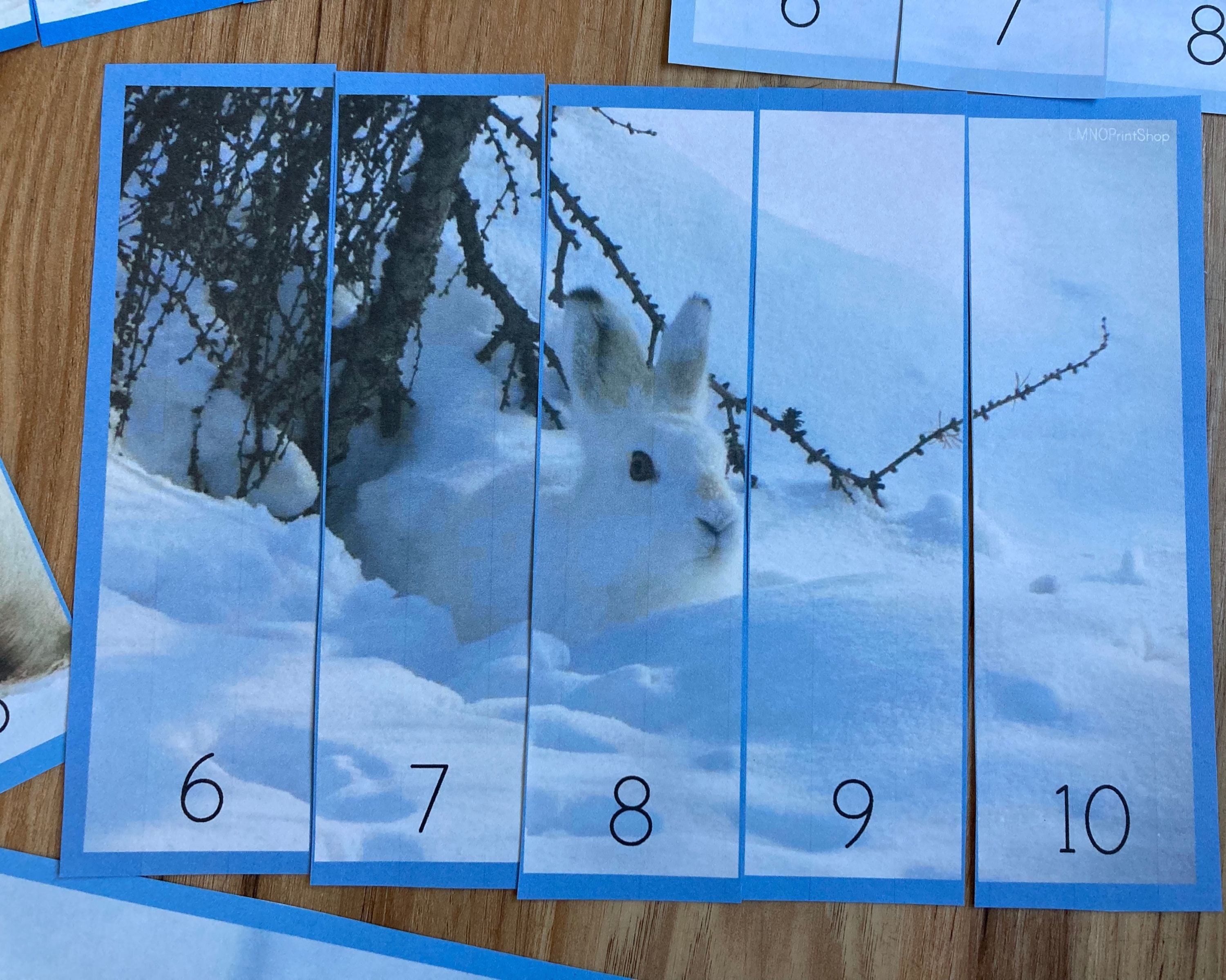 Arctic Animal Counting Puzzles - 1-10 Number Order Printable - Cold ...