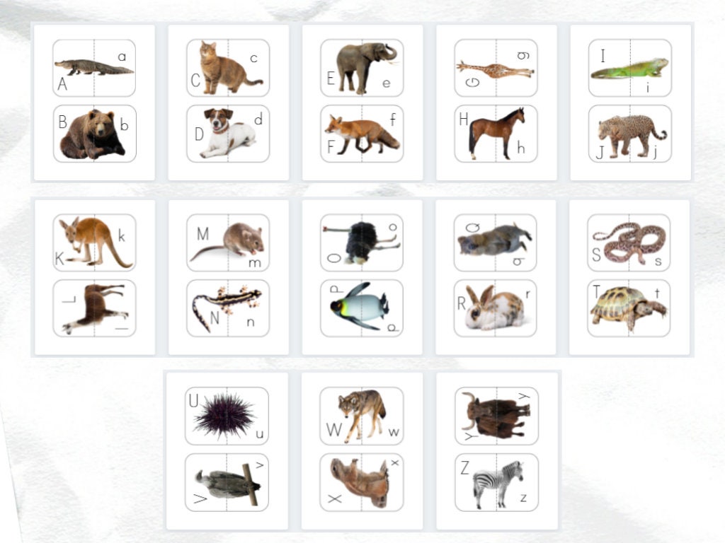 Animal Alphabet Matching Busy Bag Cards Montessori Toddler | Etsy