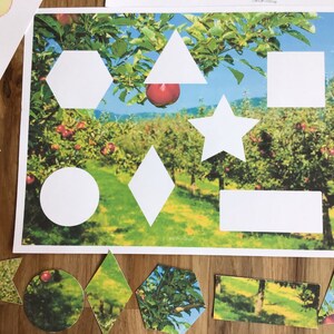 Apple Preschool Bundle - Fall Nature - Montessori Busy Book Learning ...