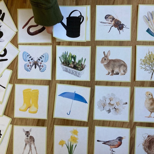 SPRING Shadow Matching Cards Montessori Printable - Etsy