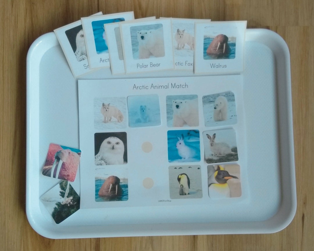 Arctic Animal Matching Activity - Busy Book Binder - File Folder ...