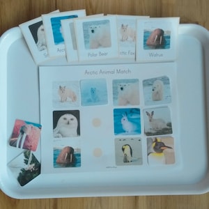 Arctic Animal Matching Activity - Busy Book Binder - File Folder ...