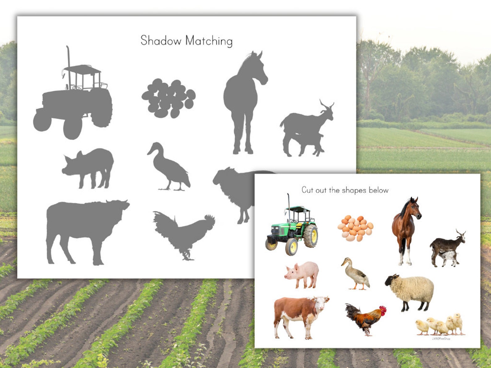 Farm Busy Book - Preschool Printable - Montessori Homeschool - Letter ...