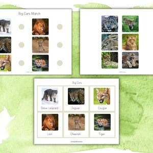 Big Cats Nature Unit Study - Preschool Printable Busy Book - Toddler ...