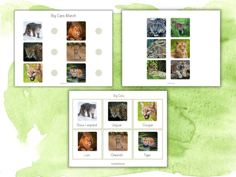 Big Cats Nature Unit Study Preschool Printable Busy Book - Etsy