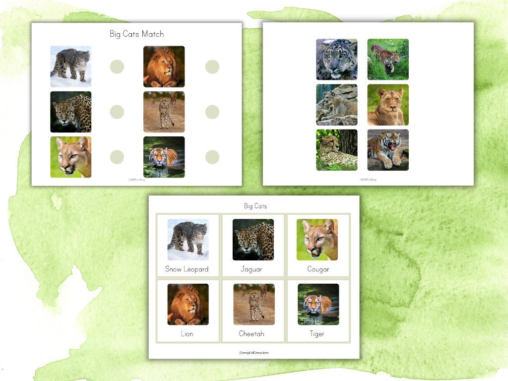 Learning & School Toys Toddler Kindergarten Animals Big Cats Nature ...