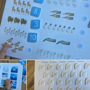 Arctic Polar Animals - Printable Busy Book - Winter Learning Binder ...