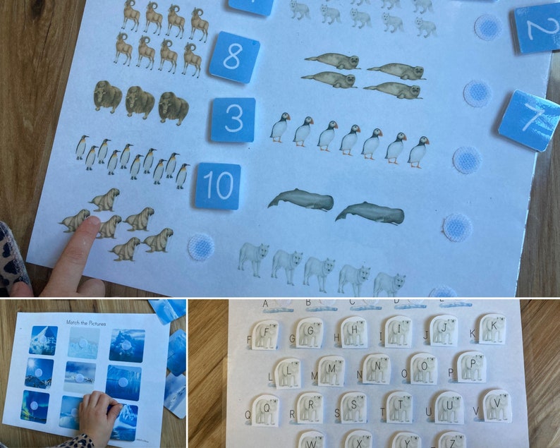 Arctic Polar Animals Printable Busy Book Winter Learning - Etsy