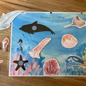 Ocean Shadow Matching - Summer Busy Book - Sea Fish Nature Study ...