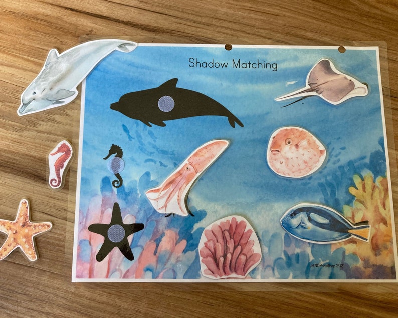 Ocean Shadow Matching Summer Busy Book Sea Fish Nature Study Preschool ...