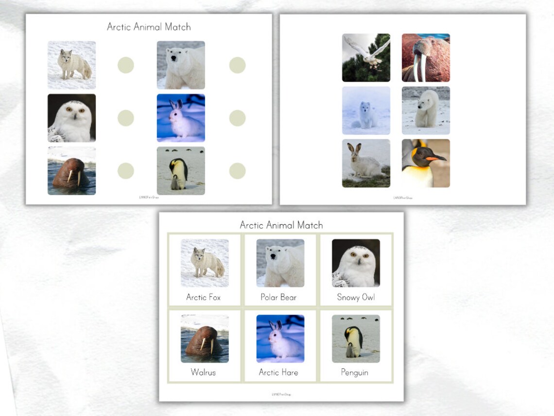 Arctic Animal Matching Activity Busy Book Binder File - Etsy