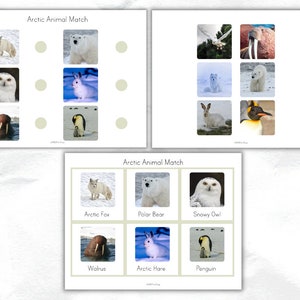 Arctic Animal Matching Activity - Busy Book Binder - File Folder ...