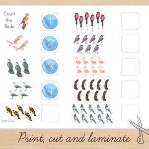 Birds Busy Book - Nature Study Activity - Learning Binder Tracing ...