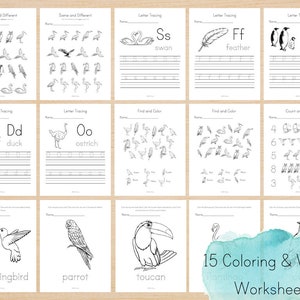 Birds Activity Bundle - Worksheets Busy Book Bag - Spring Nature Study ...