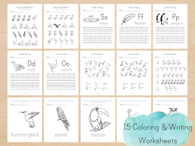 Birds Activity Bundle Worksheets Busy Book Bag Spring - Etsy