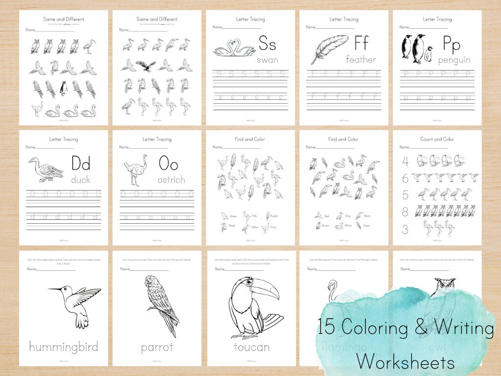 Birds Activity Bundle - Worksheets Busy Book Bag - Spring Nature Study ...