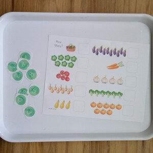 Fall Learning Binder - Preschool Printable Busy Book - Autumn ...