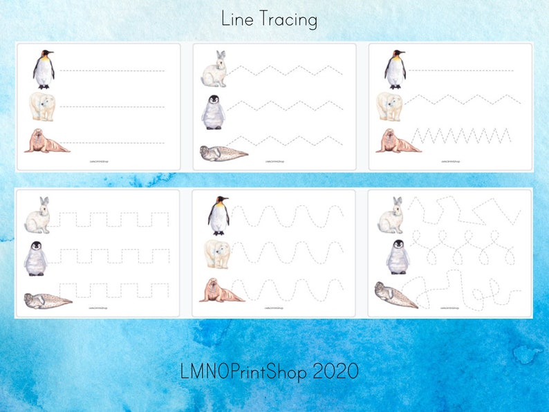 Arctic Animals PRE-WRITING Line Tracing Bundle Worksheets - Etsy