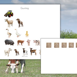 Farm Busy Book - Preschool Printable - Montessori Homeschool - Letter ...