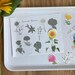Summer Flowers Shadow Matching - Busy Book Printable Activity - Toddler ...