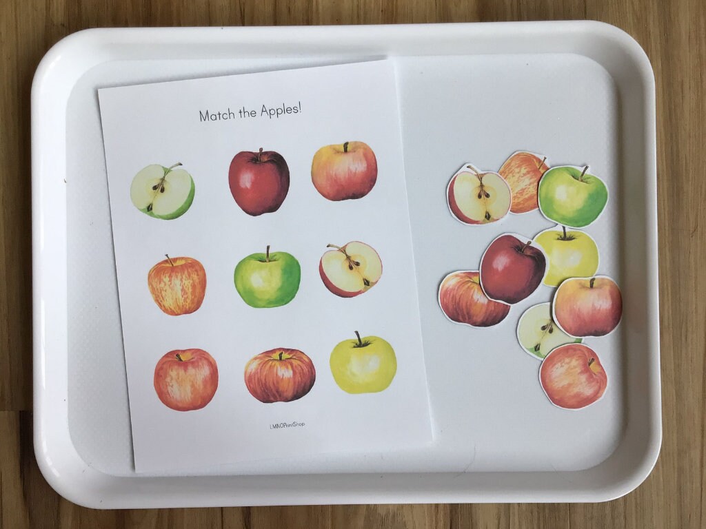 Apple Preschool Bundle Fall Nature Montessori Busy Book | Etsy