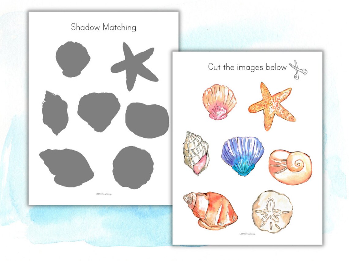 Seashell Shadow Matching Busy Binder Book Activity Page | Etsy