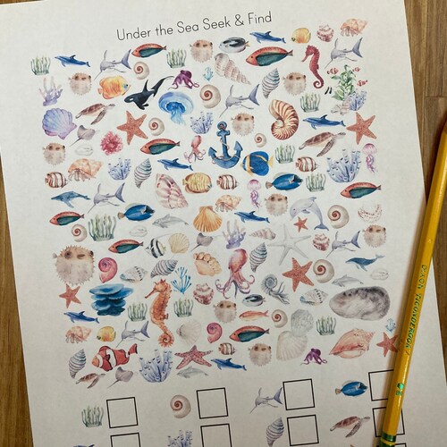 Nature Spring Summer Ispy Seek & Find Counting Worksheet - Etsy