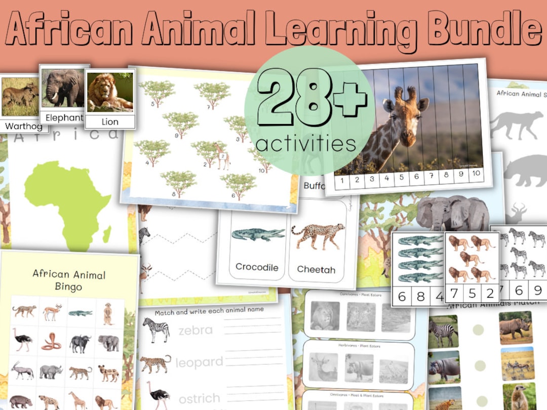 African Animal Busy Book Binder Learning MEGA Bundle - Worksheets ...