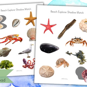 Beach Tide Pool Shadow Matching - Busy Book Binder Activity Printable ...