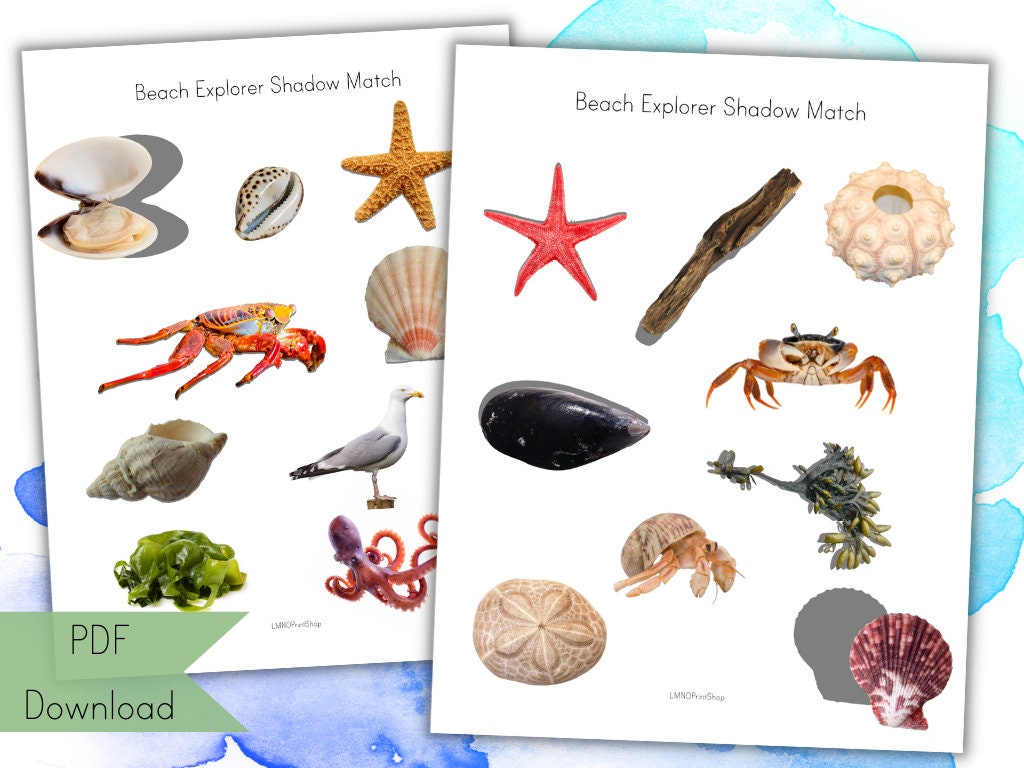 Beach Tide Pool Shadow Matching Busy Book Binder Activity - Etsy