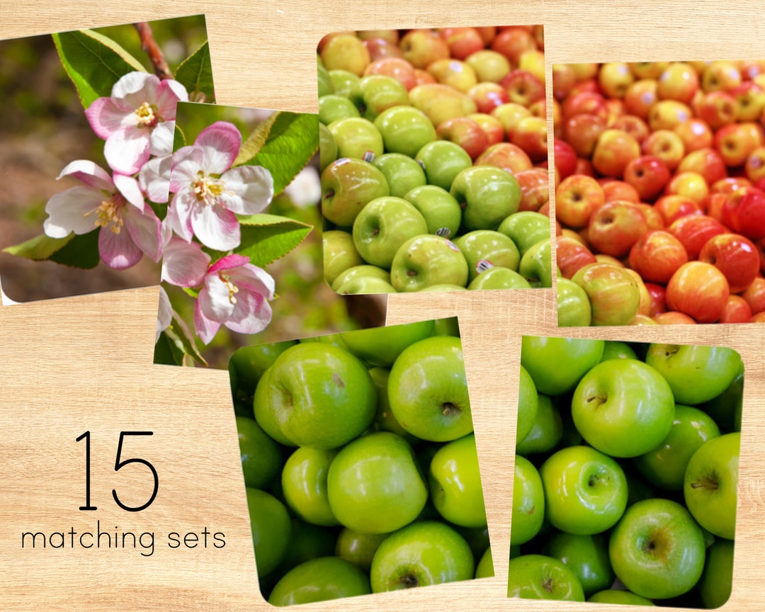 Apple Matching Cards - Complete the Picture - Preschool Autumn ...