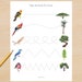 Birds Busy Book Nature Study Activity Learning Binder Tracing Numbers ...