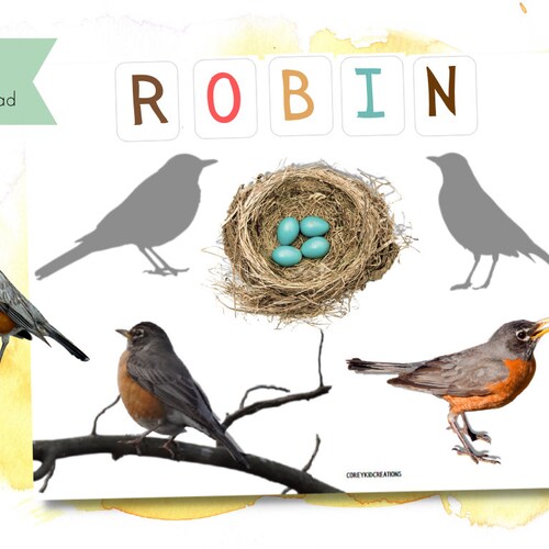 Space Preschool Worksheets and Activities Early Learning | Etsy