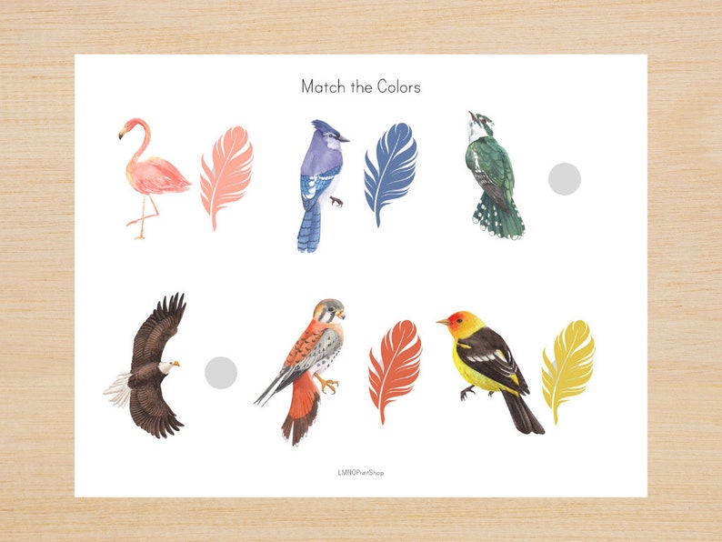 Birds Busy Book Nature Study Activity Learning Binder - Etsy