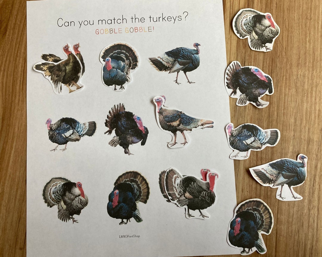 Turkey Thanksgiving Busy Book Page - Matching Preschool Game - Learning ...