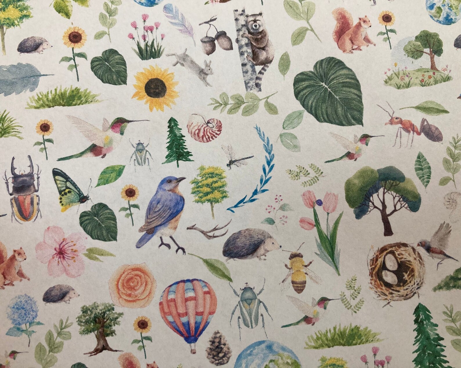 Nature Spring Summer Ispy Seek & Find Counting Worksheet - Etsy
