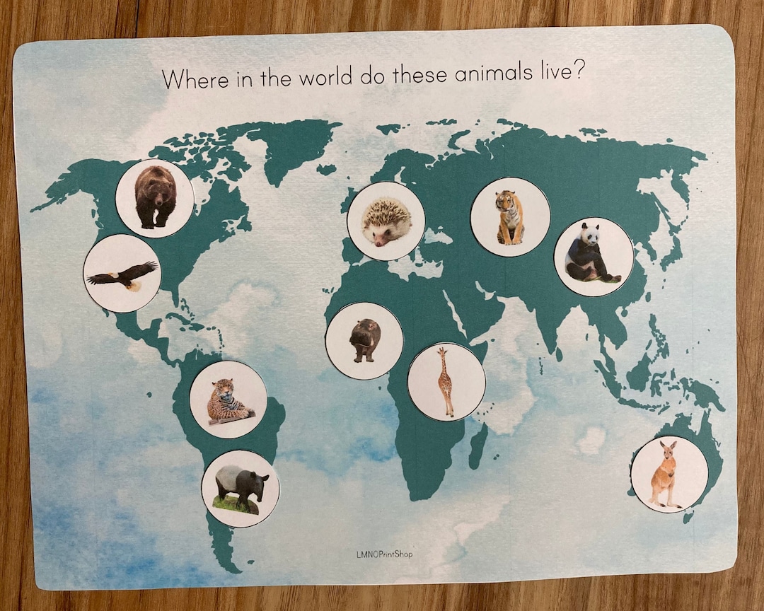 Animal Homes - Continents World Map - Busy Book - Preschool Learning ...