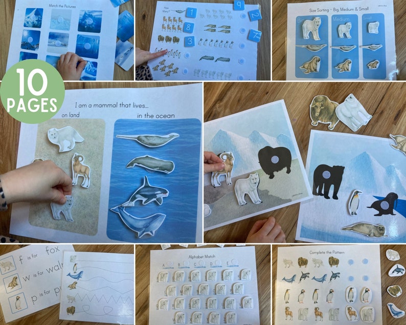 Arctic Polar Animals Printable Busy Book Winter Learning - Etsy