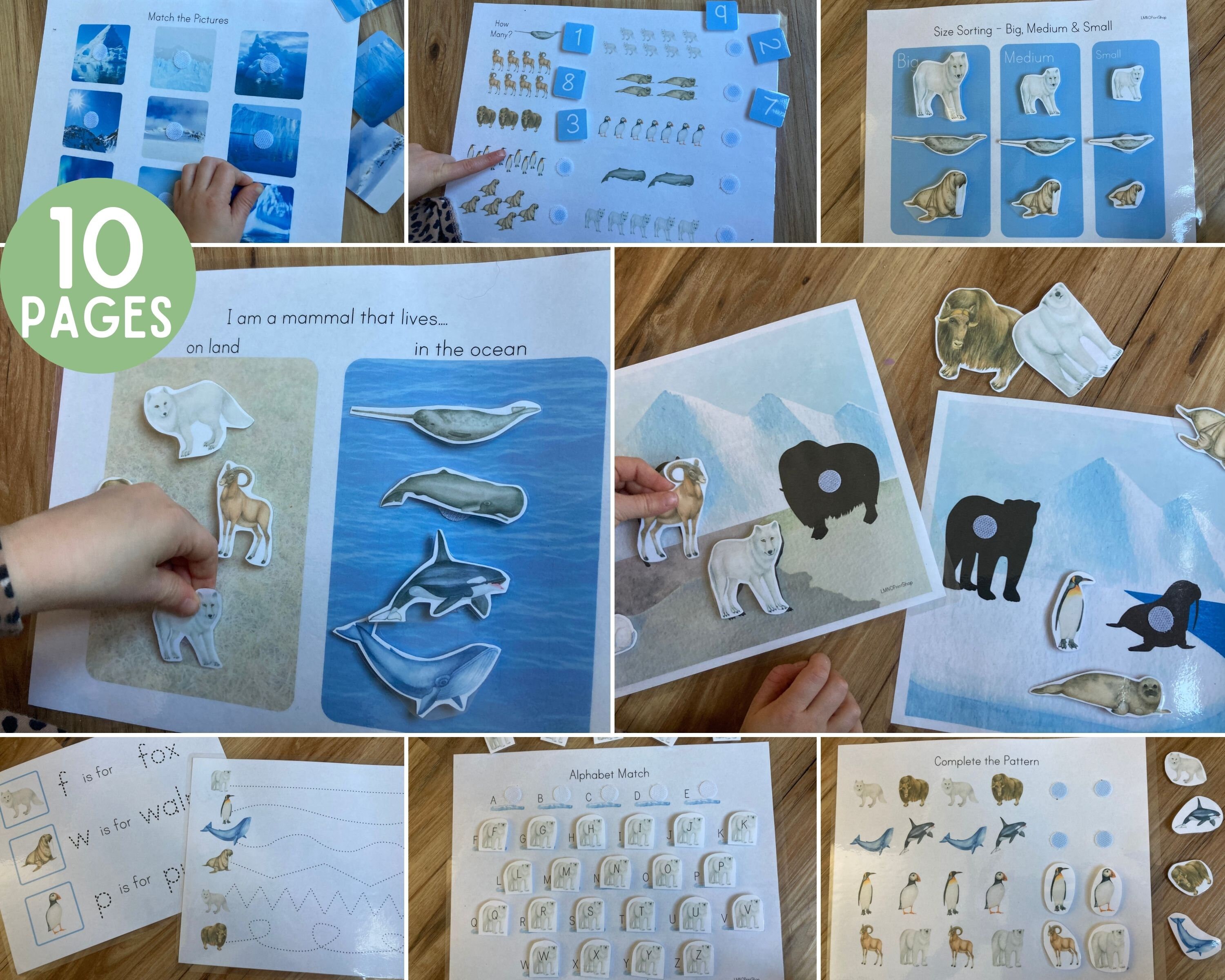Arctic Polar Animals - Printable Busy Book - Winter Learning Binder ...