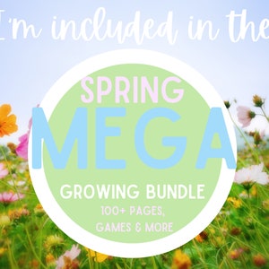 SPRING Shadow Matching Cards - Montessori Printable - Preschool Toddler ...